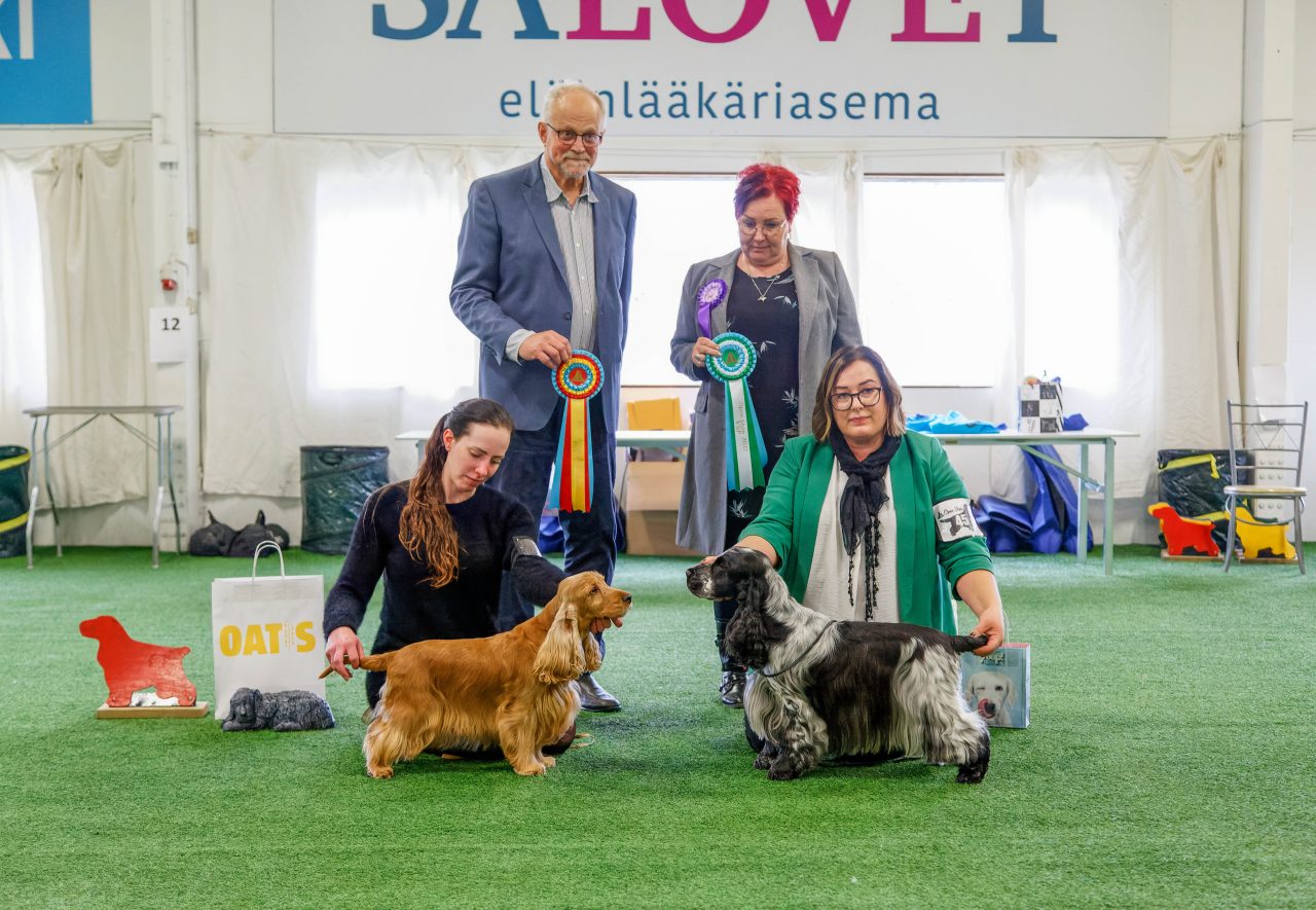 Open Show 2022 - Cockerspanielit ry